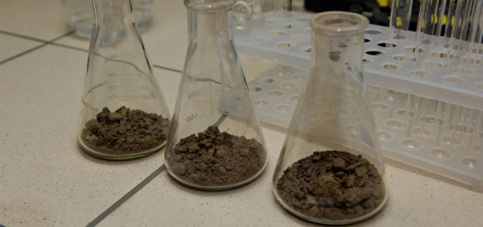 Common Soil Contaminants and Testing